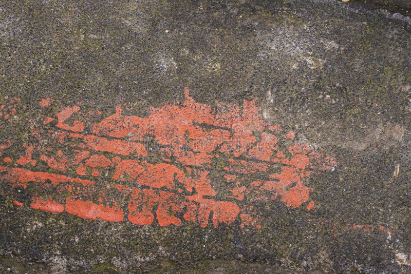Black Pavement with Red Concrete Tiles Covered in Dirt Grunge Texture G ...