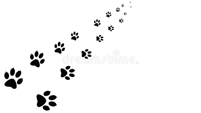 Black Paw Prints Walking the Animal Stock Illustration - Illustration ...