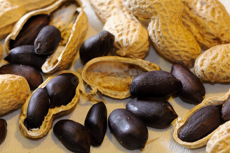 Black peanuts stock photo. Image of protein, background - 42620766