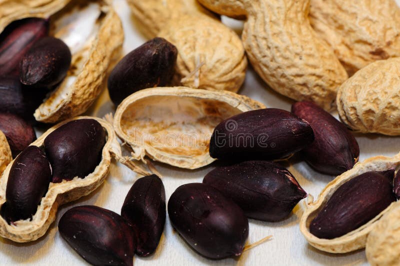 Kola nuts stock photo. Image of nuts, caffeine, edible - 33729162