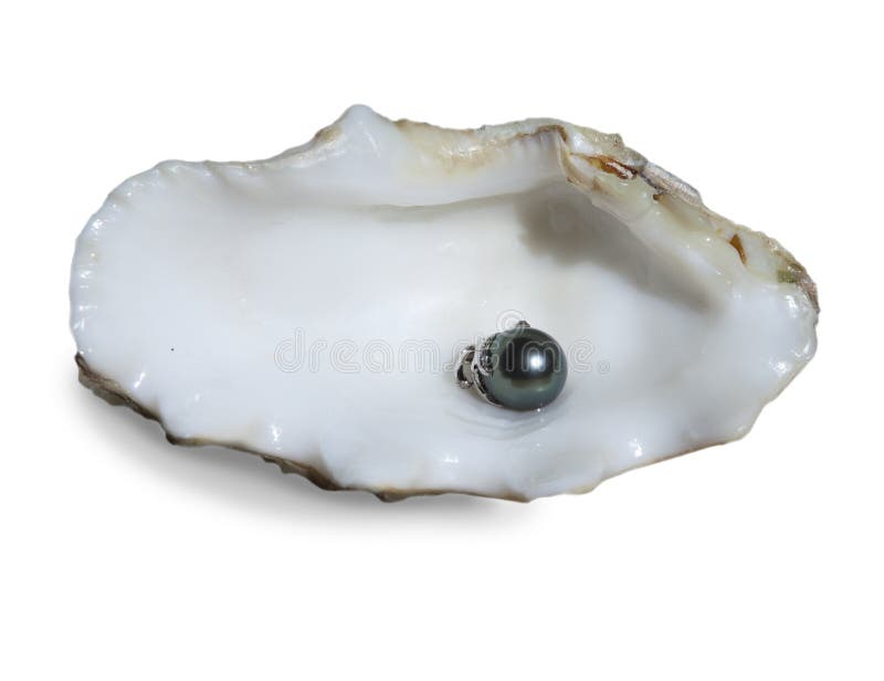 Black Pearl Lies in a Shell Stock Photo - Image of shell, sand: 103260894