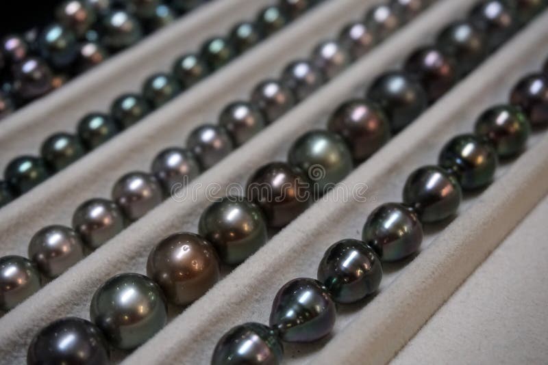 Black Pearls of French Polynesia Stock Image - Image of gemstone, pearl ...
