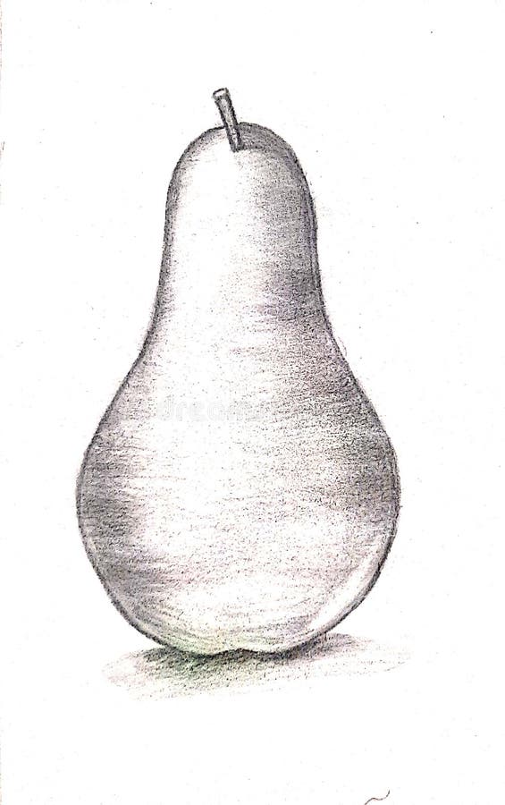 Black Pencil Technique Drawing Pear Stock Vector - Illustration of ...