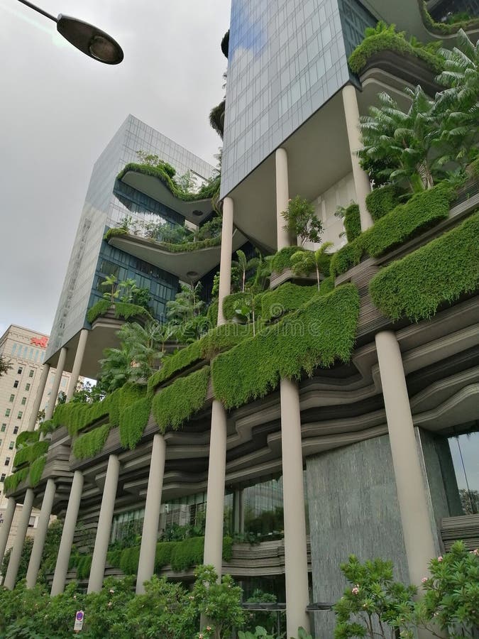 Sideview Building in Green Things Growing Stock Photo - Image of ...
