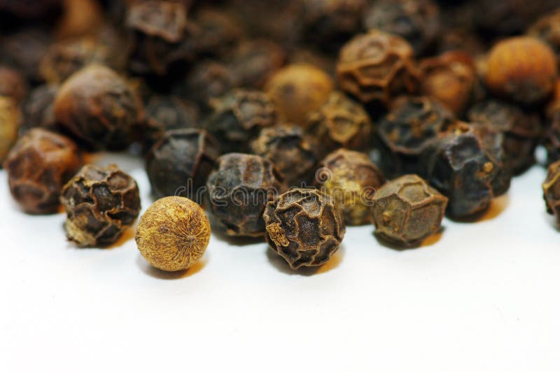 Black pepper stock image. Image of seasonings, herbs, india - 8510483