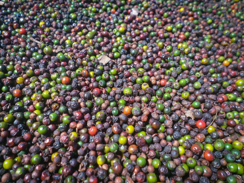 Black Pepper Background Texture Stock Image - Image of healthy, natural ...