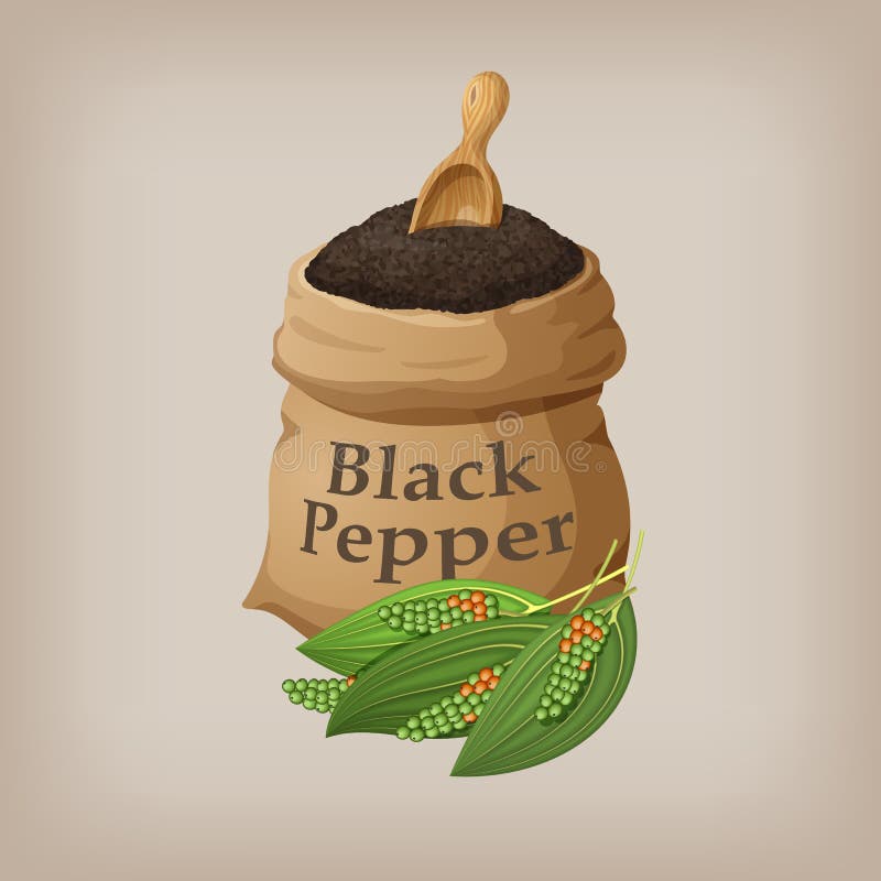 Black Pepper in the Bag. Vector Illustration Stock Vector ...
