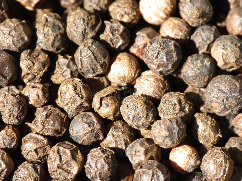 Black pepper corn stock image. Image of seasonings, spices - 13292471