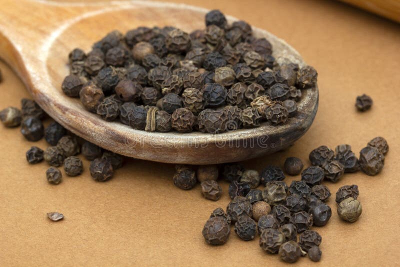 Black pepper corns stock image. Image of ground, culture - 192526707