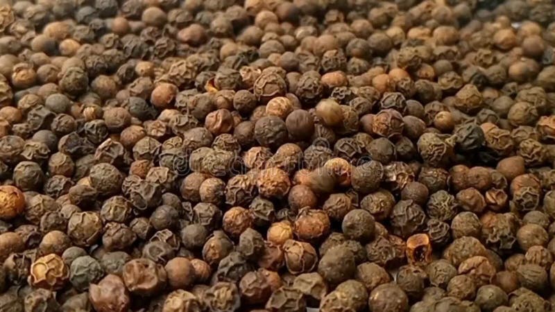 Black Pepper Fall on Rotating Full Frame Background, Micro Shot ...