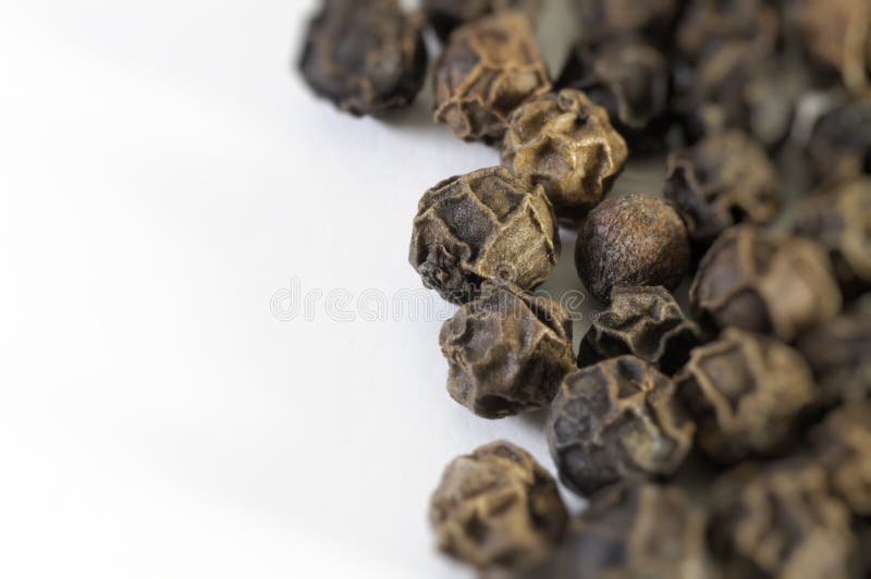 Black Pepper Grain stock image. Image of isolated, cookery - 22760587