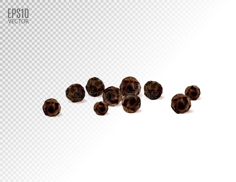 Black Pepper Isolated on Transparent Background. Spices Stock Vector ...