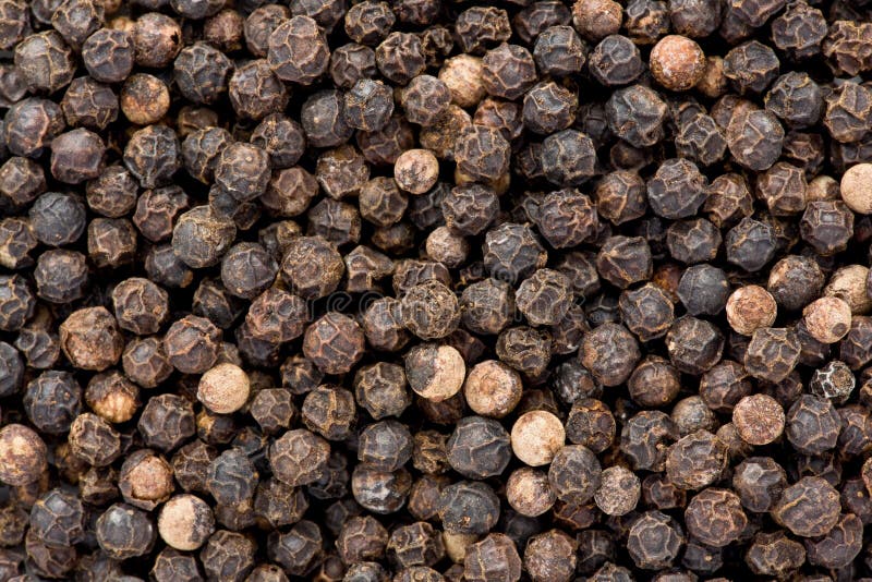 Black Pepper (Piper Nigrum) Stock Photo - Image of spice, dried: 26934644