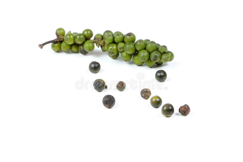Black peppercorn raw dry stock image. Image of spice - 82715027