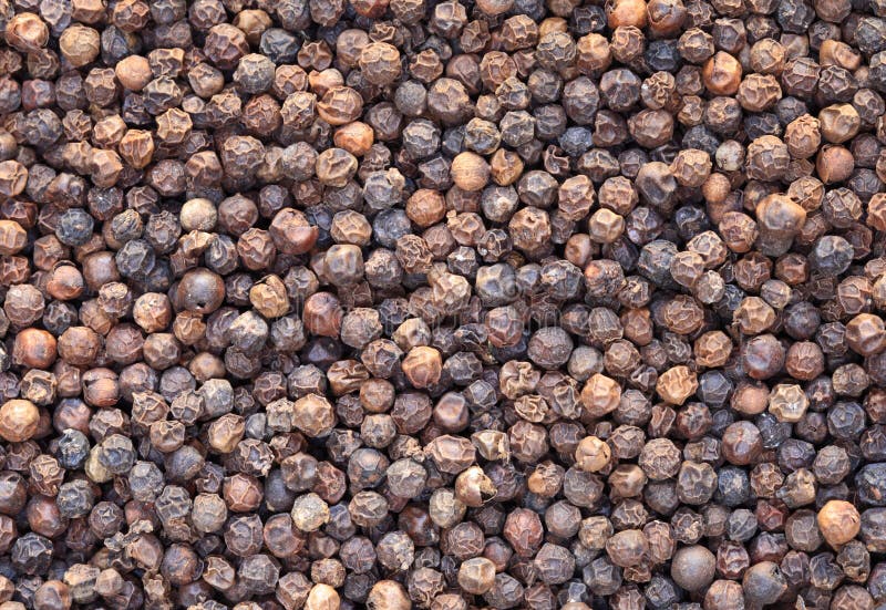 Black Peppercorns stock photo. Image of close, organic - 21189498