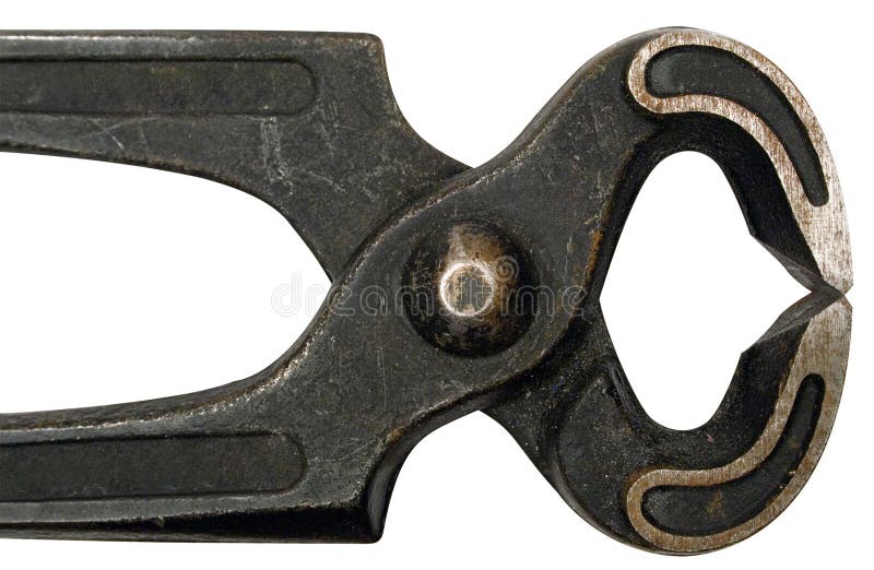 Black Pincer W/ Path (Close View) Stock Photo - Image of danger, claw ...