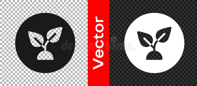 Black Plant Based Icon Isolated on White Background. Set Icons Colorful ...