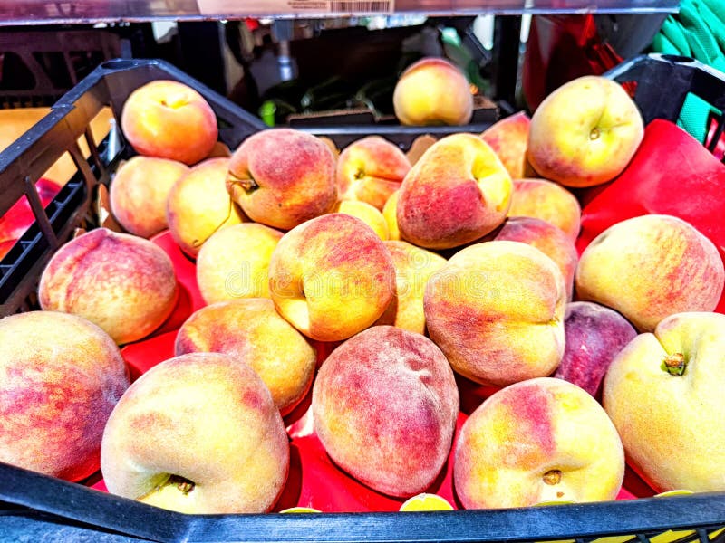 560 Plastic Crate Texture Stock Photos - Free & Royalty-Free Stock ...