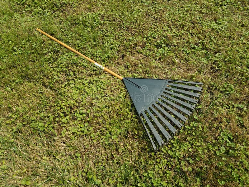 Green Grass in a Plastic Black Honeycomb Frame To Prevent Soil Erosion ...