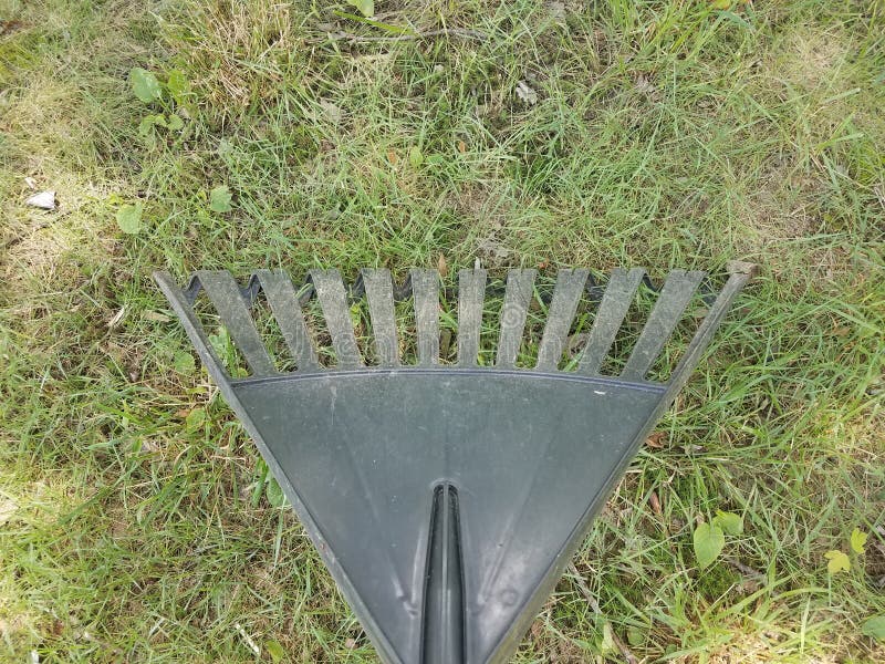 Green Grass in a Plastic Black Honeycomb Frame To Prevent Soil Erosion ...