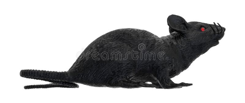Black Plastic Toy Rat On A White Background Stock Image - Image of legs ...