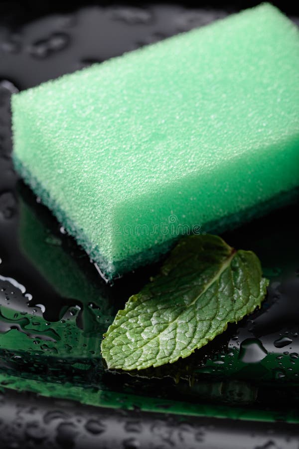 Black Plate and Dish Sponge . Stock Image - Image of clean, cleanliness ...