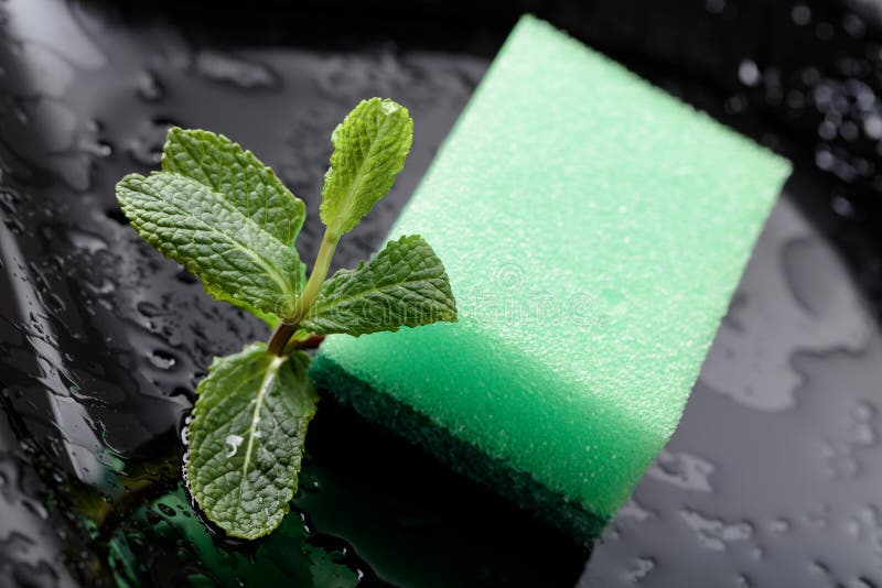 Black Plate and Dish Sponge . Stock Image - Image of black, service ...