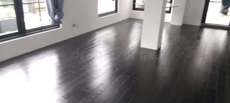 Black ploring stock image. Image of black, ploring, queen - 261904475