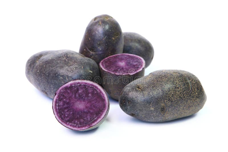 Black Potatoes of the Variety Plum Stock Image - Image of potatoes ...