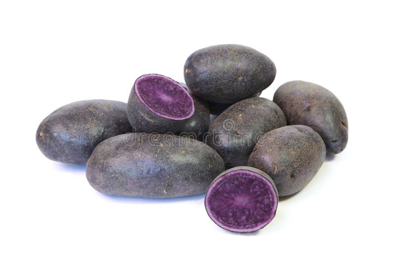 Black Potatoes of the Variety Plum Stock Photo - Image of sloe, plum ...