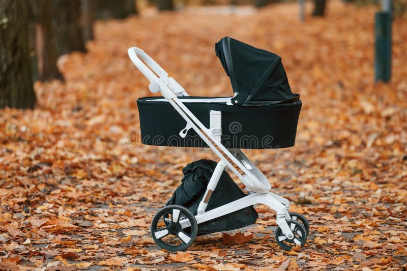 Black Pram is in the Autumn Forest at Daytime Stock Photo - Image of ...