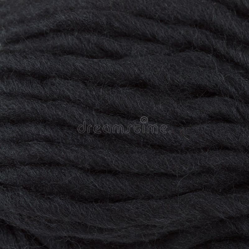 Black Pure Bred German Shepard Puppy Stock Image - Image of puppies ...