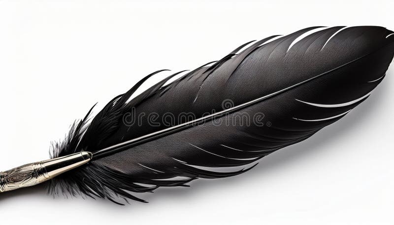 Black Quill Pen Isolate on White Background PNG Stock Illustration ...