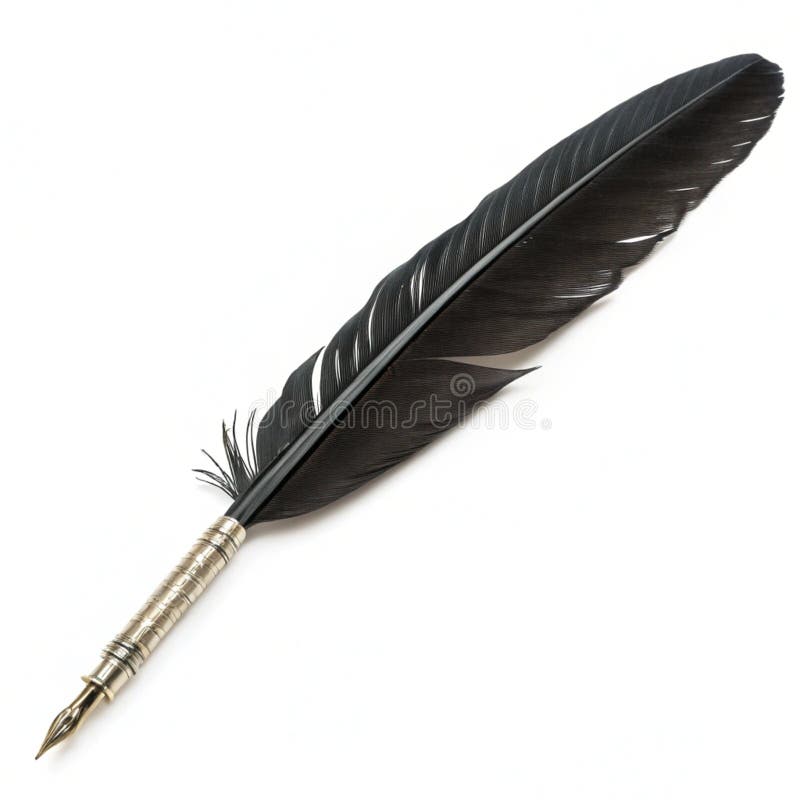 Black Quill Pen Isolated on White Background Stock Illustration ...