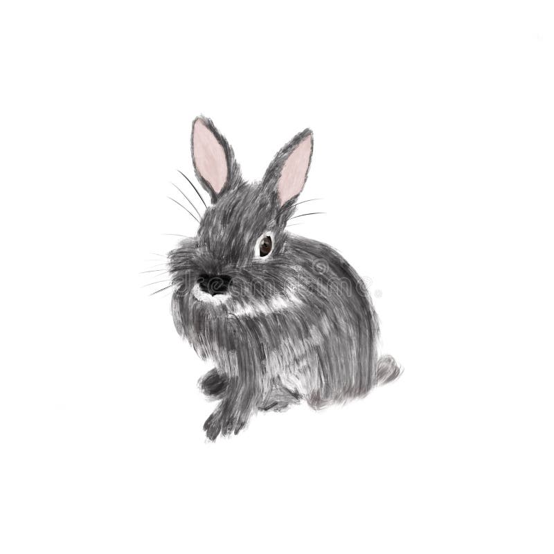 Black rabbit stock illustration. Illustration of bunny - 269975955