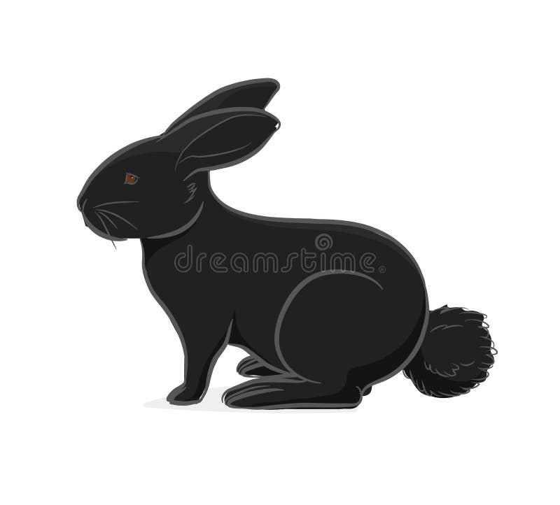 Black Rabbit Drawing