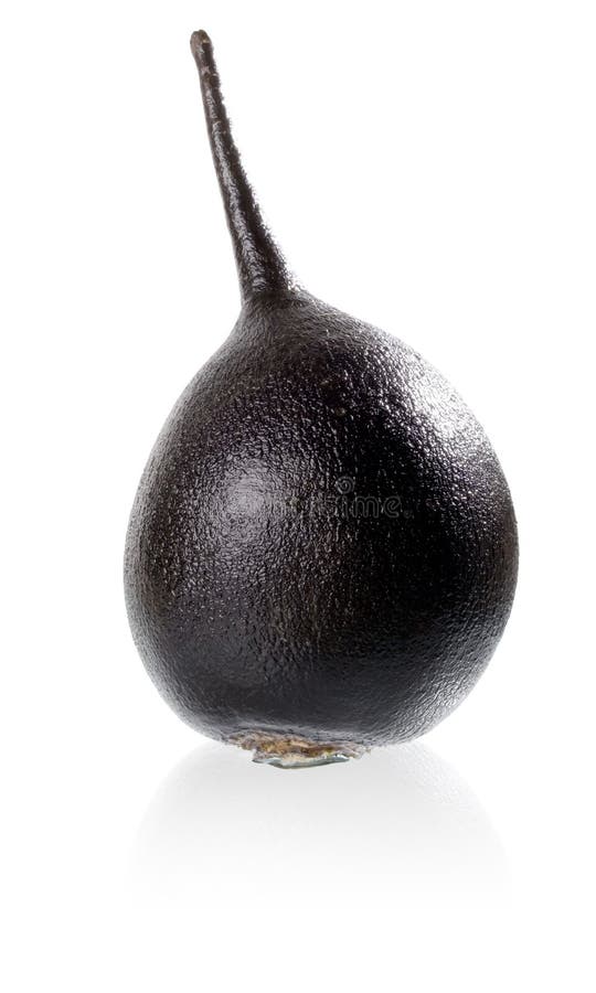 Black radish. stock photo. Image of nutrition, healthy - 13114280