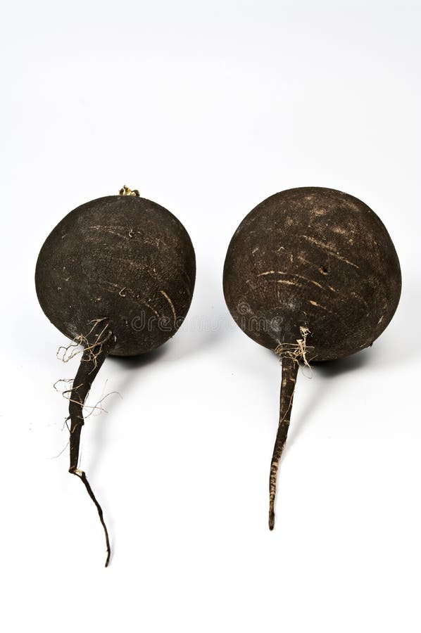 Black radish stock photo. Image of bavarian, eating, vegetable - 13116838