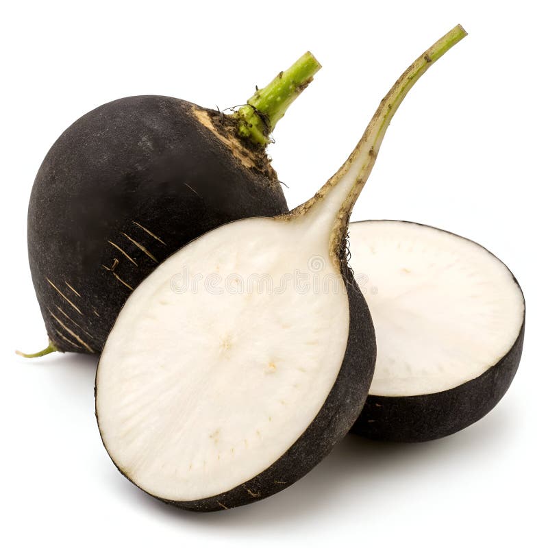 Black Radish Cut in Half Isolated on White Background Stock ...