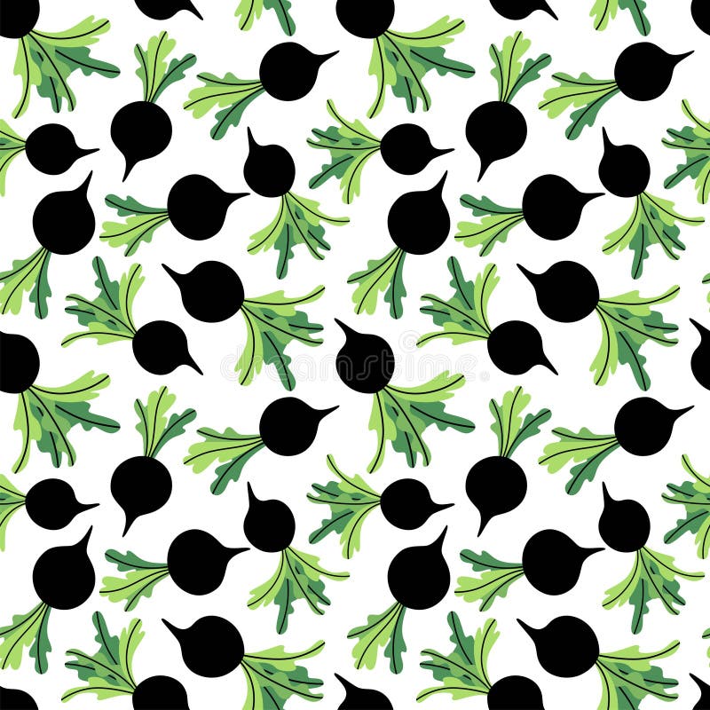 Black Radish with Leaves on White Seamless Pattern Vector. Hand-drawn ...