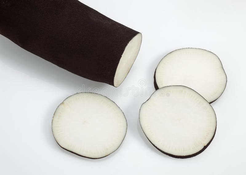 Black Radish, Raphanus Sativus Niger, Against White Background Stock ...