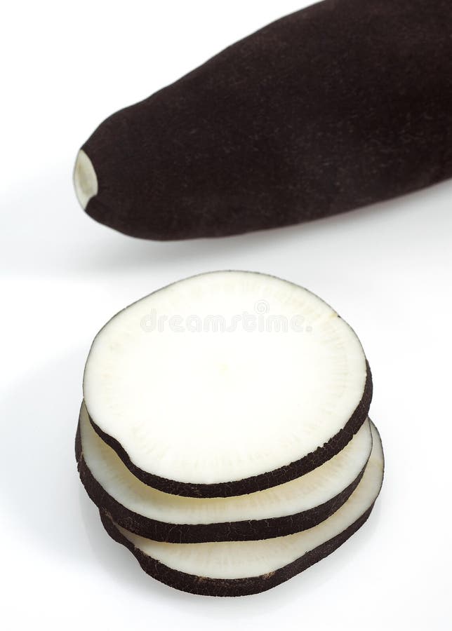 Black Radish, Raphanus Sativus Niger, Against White Background Stock ...