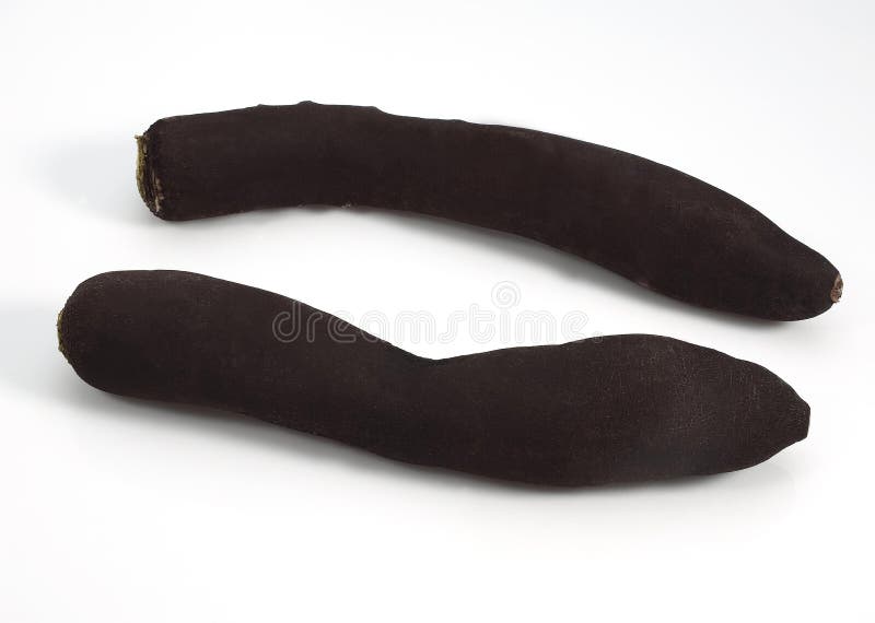 Black Radish, Raphanus Sativus Niger, Vegetable Against White ...