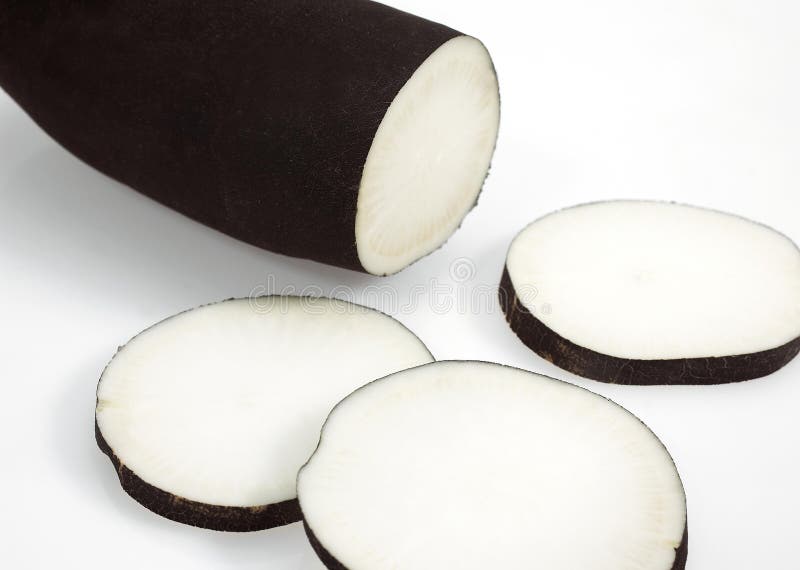 Black Radish, Raphanus Sativus Niger, Vegetable Against White ...