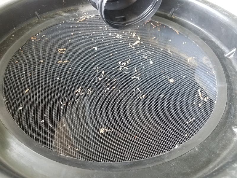 Black Rain Barrel Mesh Filter or Screen with Gutter Downspout Stock ...