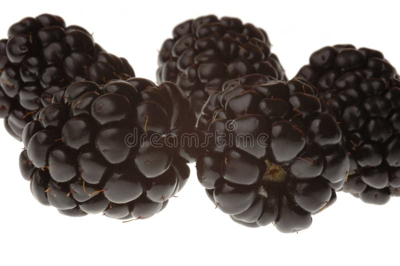Black Raspberries stock photo. Image of healthy, sweet - 2410192