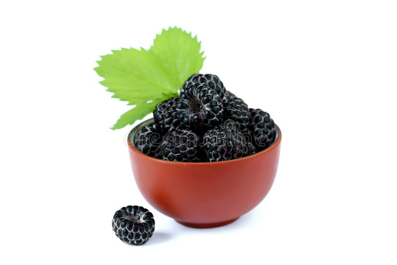 Black raspberries stock photo. Image of grade, bowl, blue - 72769298