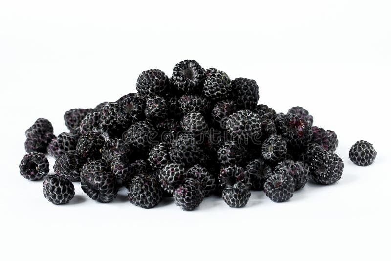 30,328 Black Raspberries Stock Photos - Free & Royalty-Free Stock ...