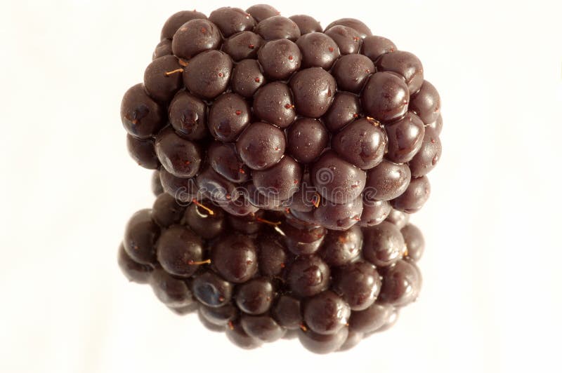 Red and Black Raspberry Fruit Stock Photo - Image of raspberry, ripe ...