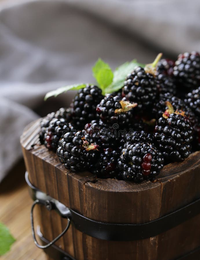 Black raspberry blackberry stock image. Image of nutrition - 159183665